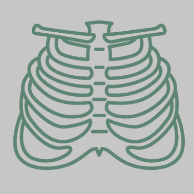 Pectus Excavatum e Carinatum - Deformidade do Tórax - Dr. Malucelli